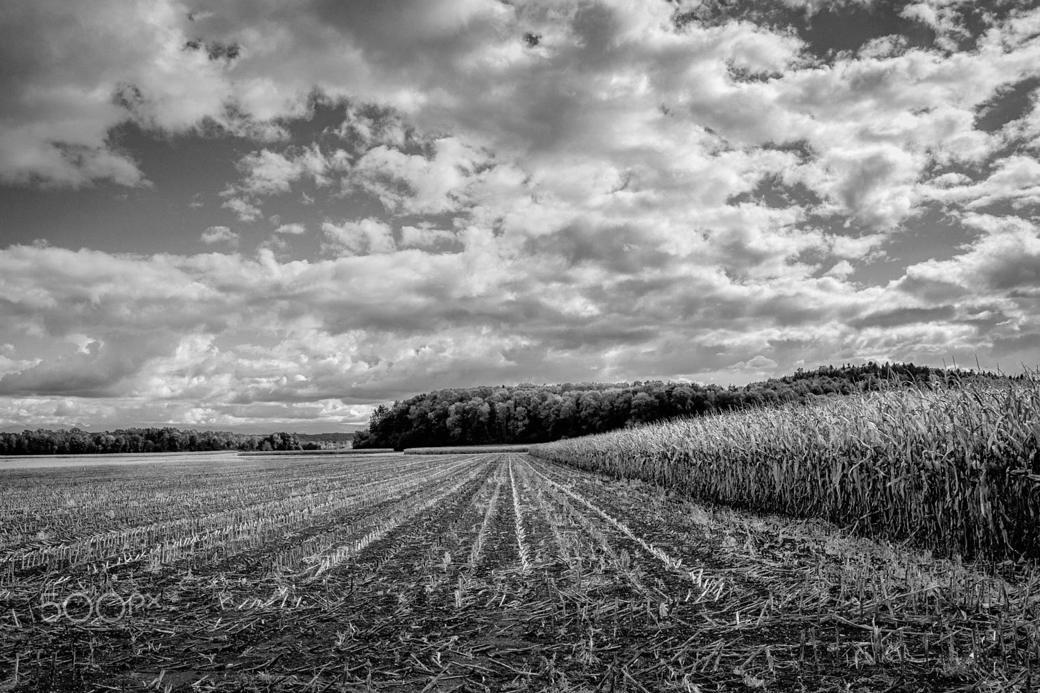 Seeland Landscape in Black and White by Krigou Christian Schnider / 500px
