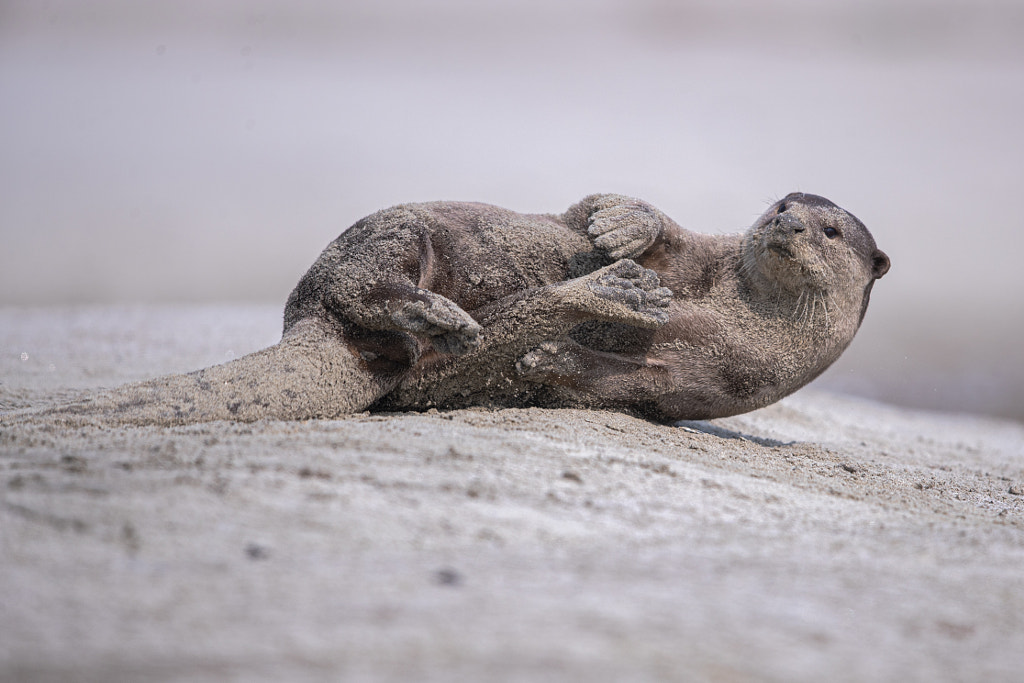 Lets relax ! by Sudipta Chakraborty / 500px