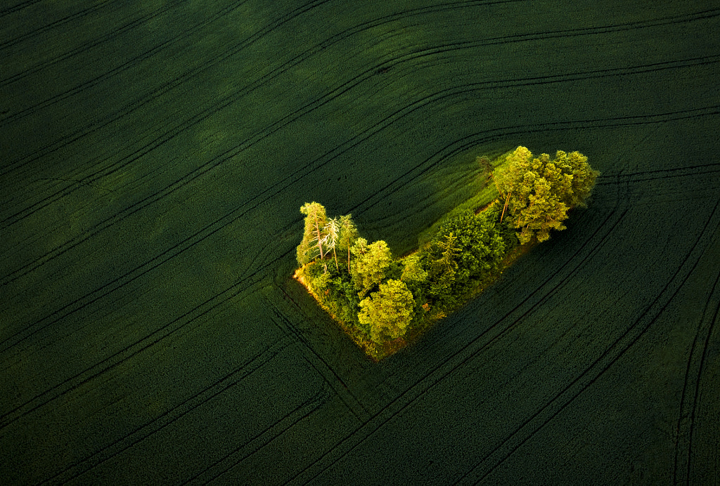 "Island" by David Dai / 500px