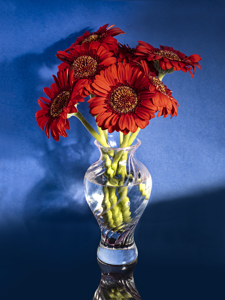 Flower vase by Michael Wattam / 500px