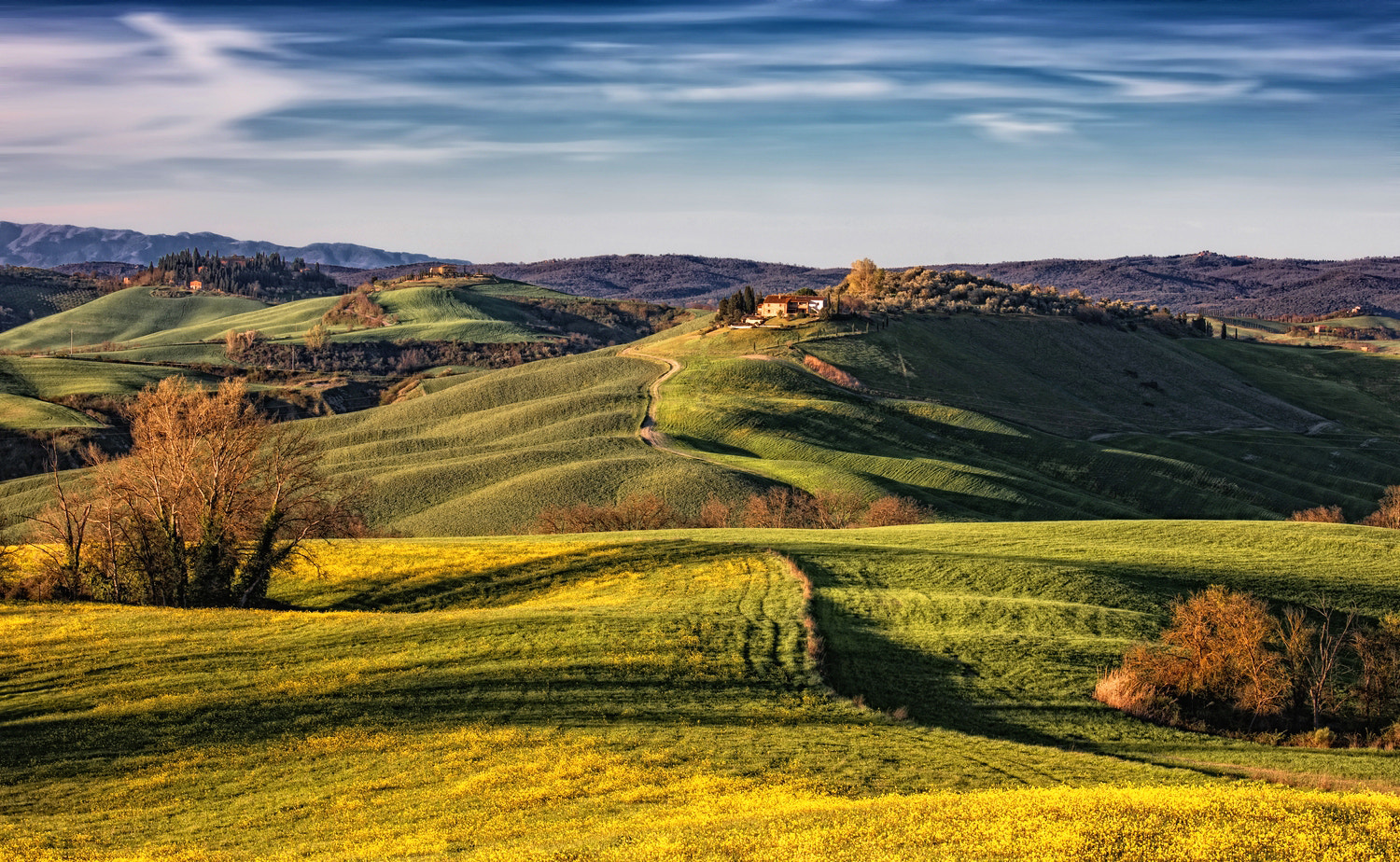 Tuscan Fields by Carsten Meyerdierks / 500px