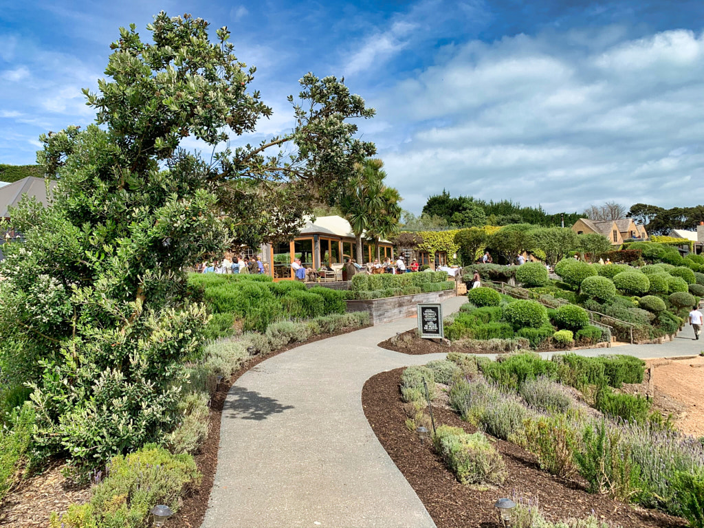Mudbrick Winery by Carl Main / 500px