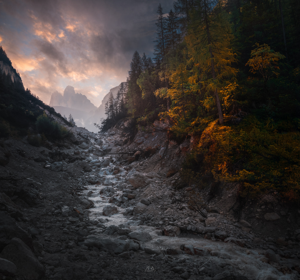 In the Land of Magic by Croosterpix / 500px