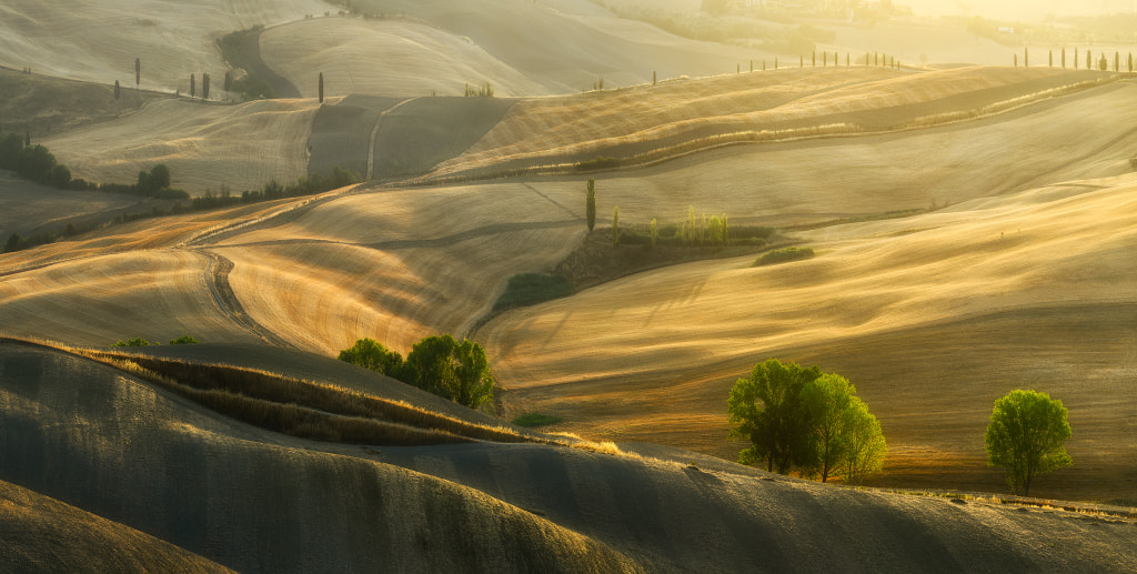 Tuscany by Tomasz Rojek / 500px