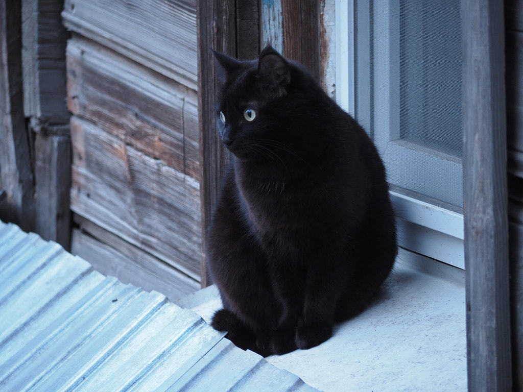 Untitled by Ler Ler / 500px