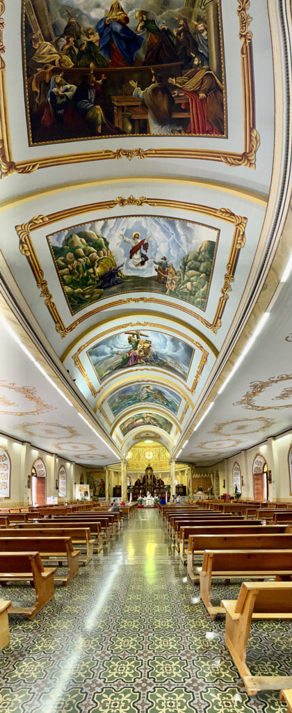 Cathedral of Our Lady of the Pillar by Jose luis / 500px