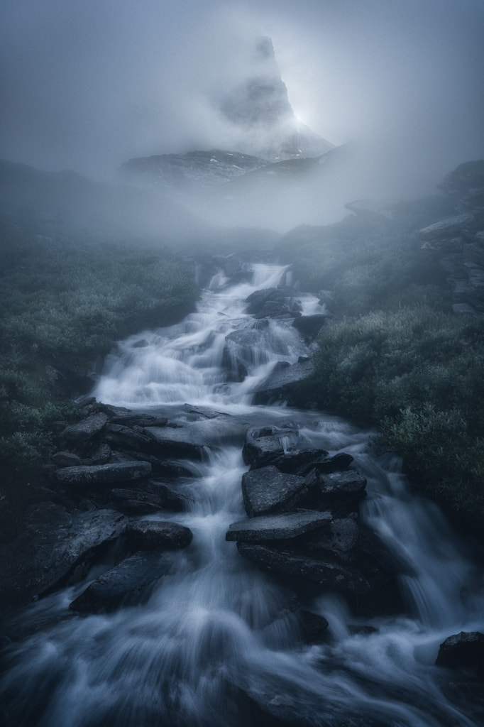 Into the Wild by Antonio Valente / 500px