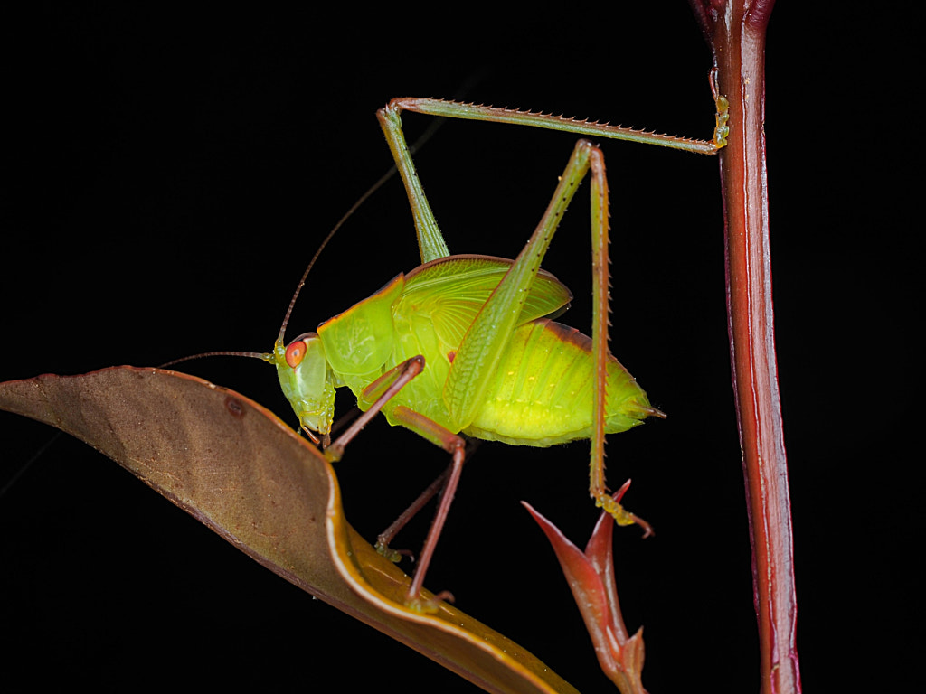 Being square! by Tom Musson / 500px