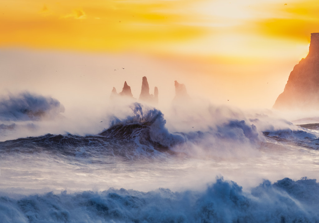 Roaring ocean waves by David Dai / 500px