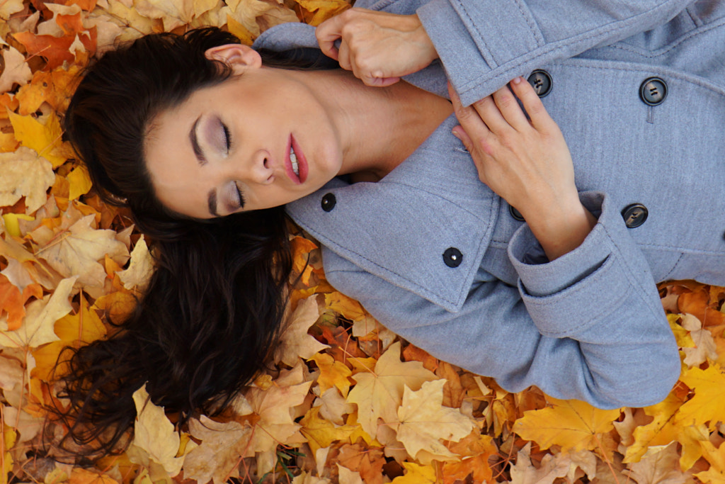 Fallen on Fall by Josh Pine - Faces & Places Photography / 500px