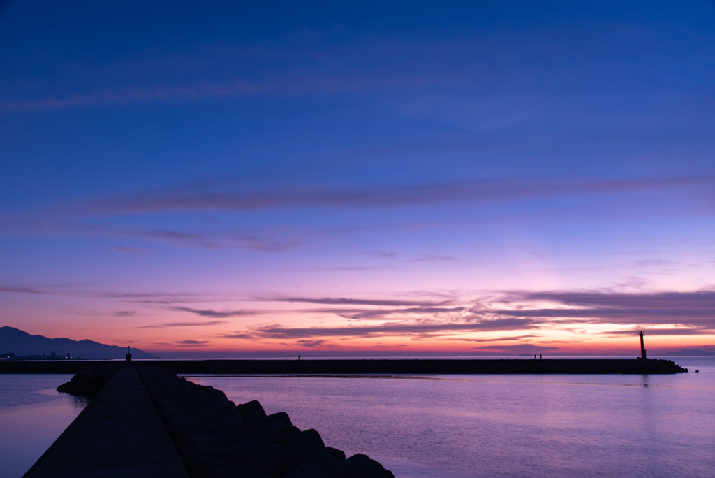 gunchu by Tetsuhiro Minakuchi / 500px