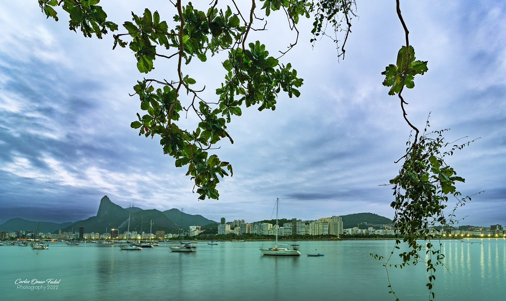 Spring Leaves by Carlos Omar / 500px