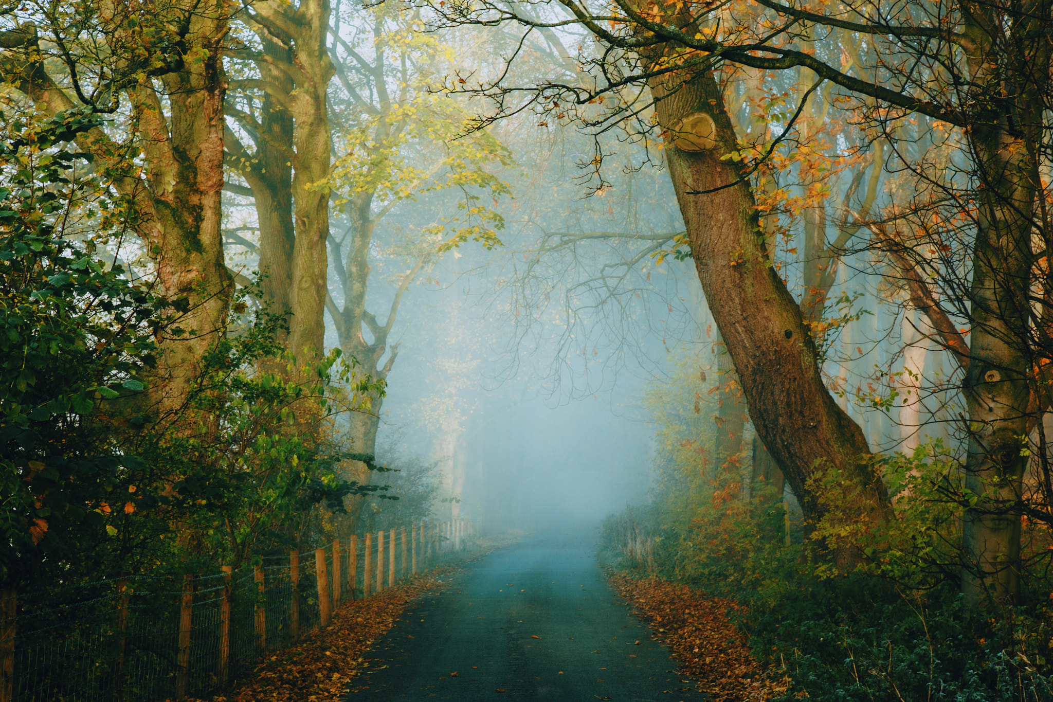 Autumn roads by Daniel Casson / 500px