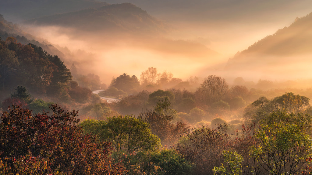 Secret Garden by kim jisung / 500px