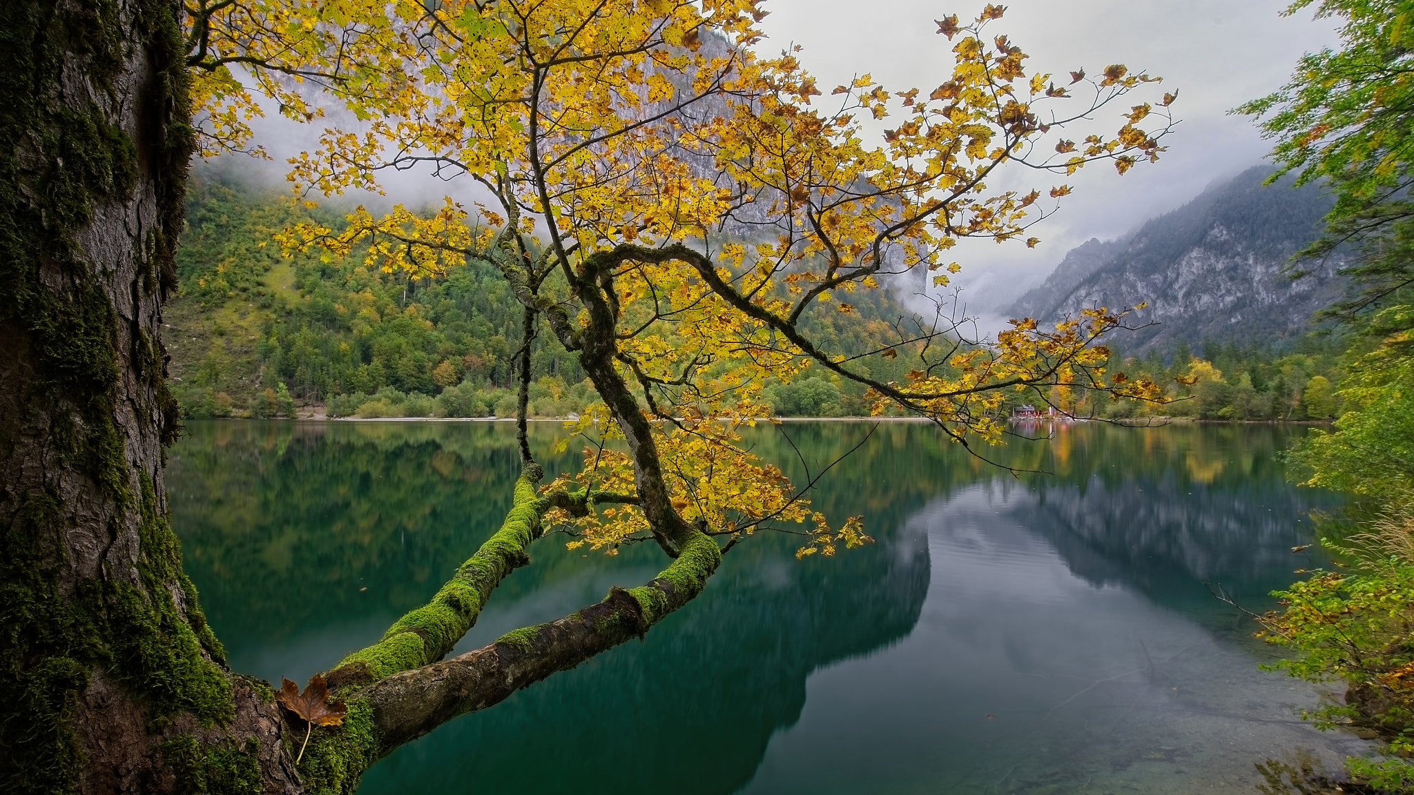 Early autumn colors by Efrain Rodriguez / 500px