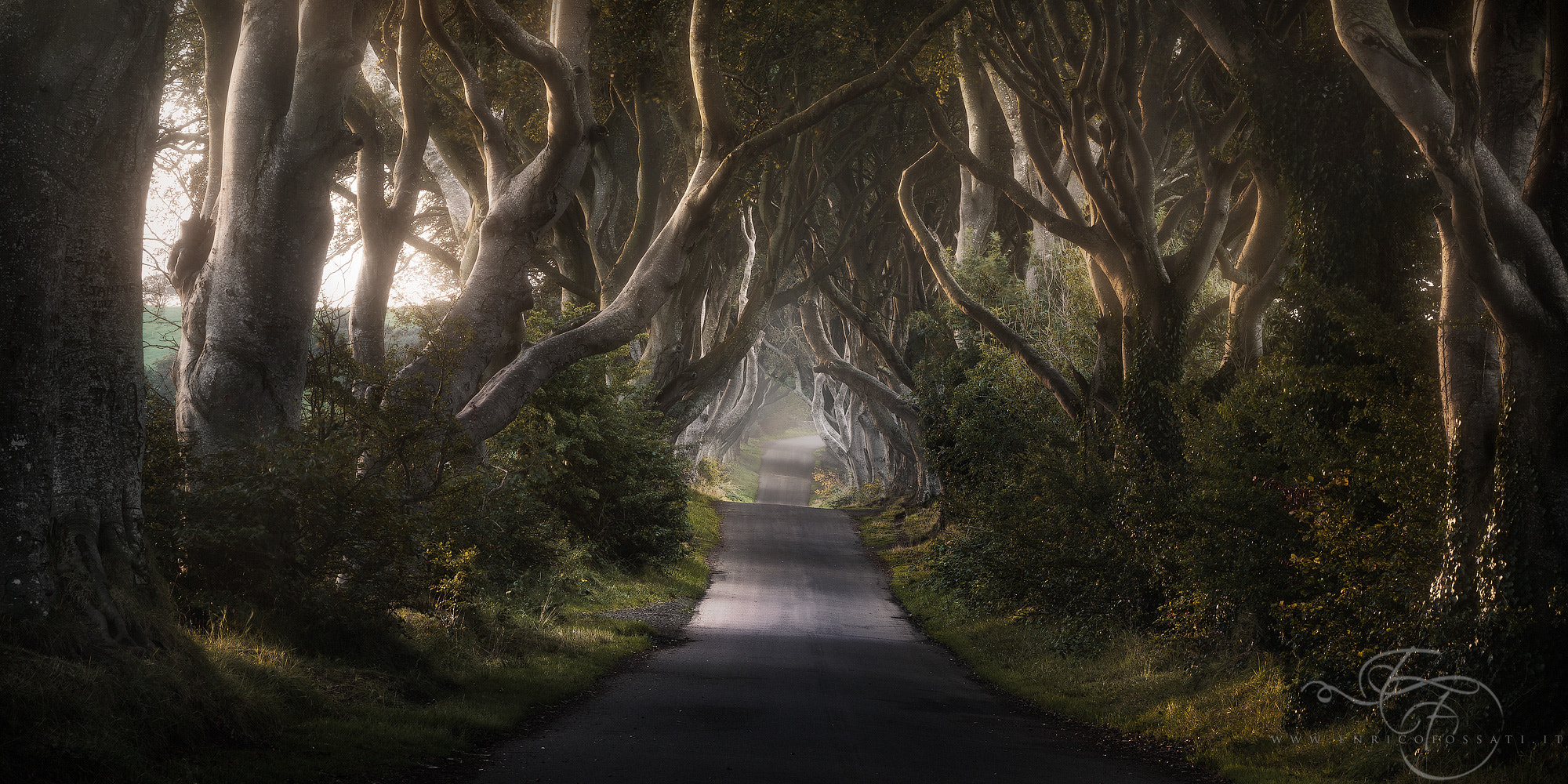 The Elven Gate by Enrico Fossati / 500px