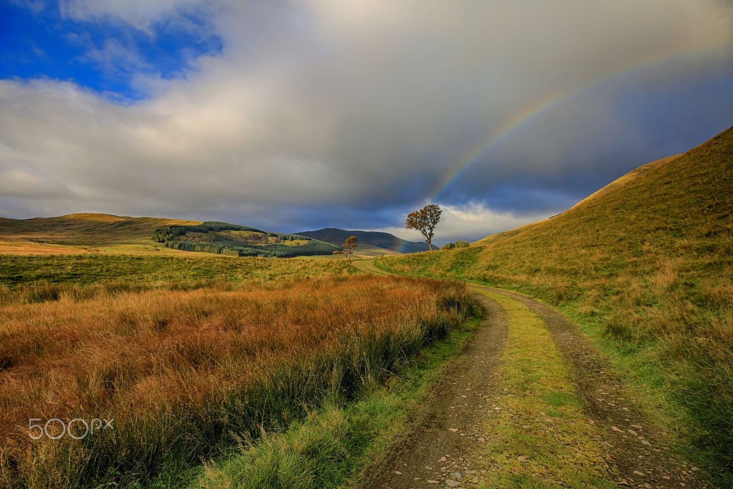 Scenic view of rainbow over land against sky by Hilda Murray / 500px