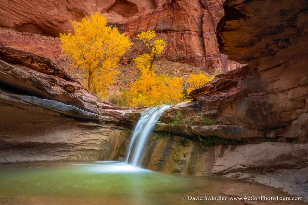 Autumn in the Desert by David Swindler / 500px