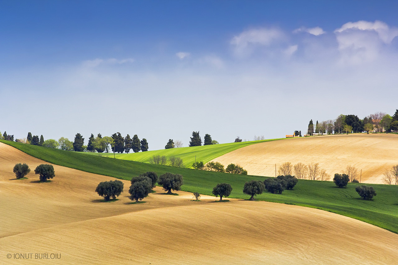 The Marche landscape by Ionut Burloiu - Photo 105517301 / 500px