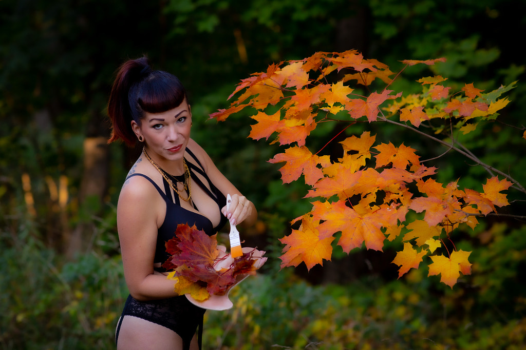 Herbstfarben by Frank Reinbold / 500px