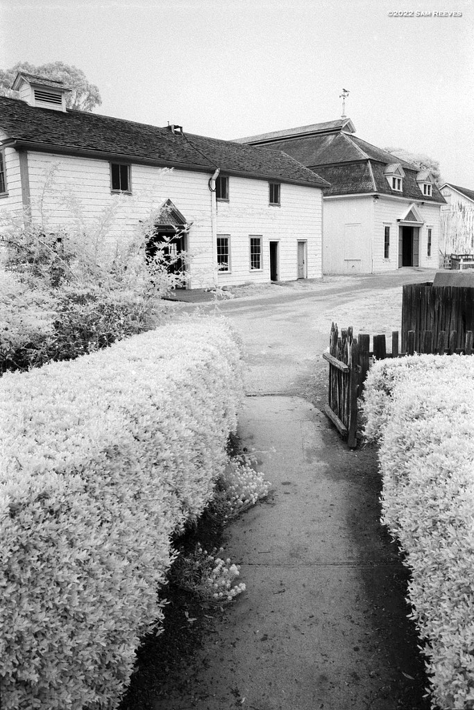 Infrared at Wilder by Sam Reeves / 500px