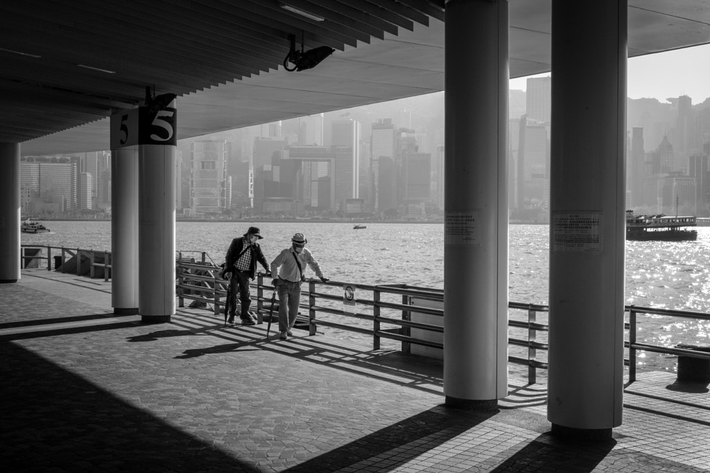 Companion by On Kei Wong / 500px