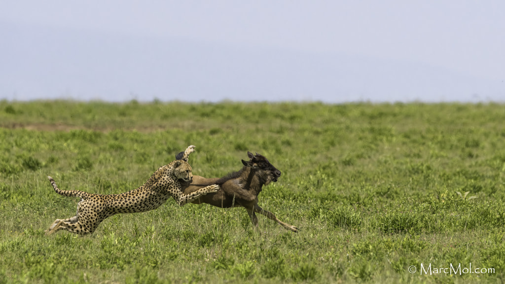 "Reach out and touch someone" by Marc MOL / 500px