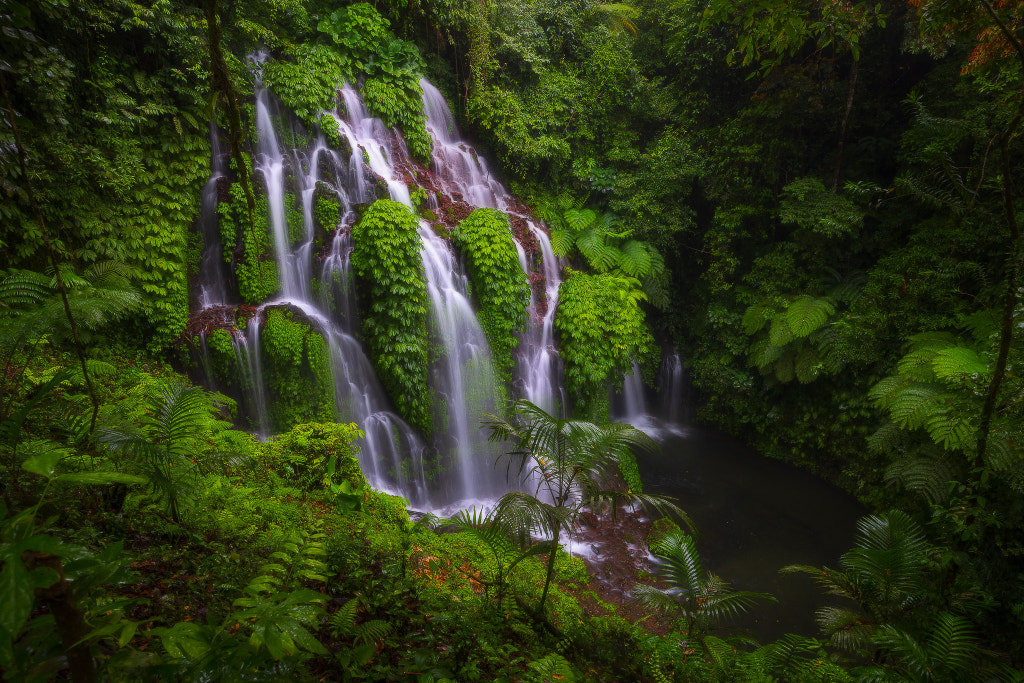Spray Falls by Dylan Toh & Marianne Lim / 500px