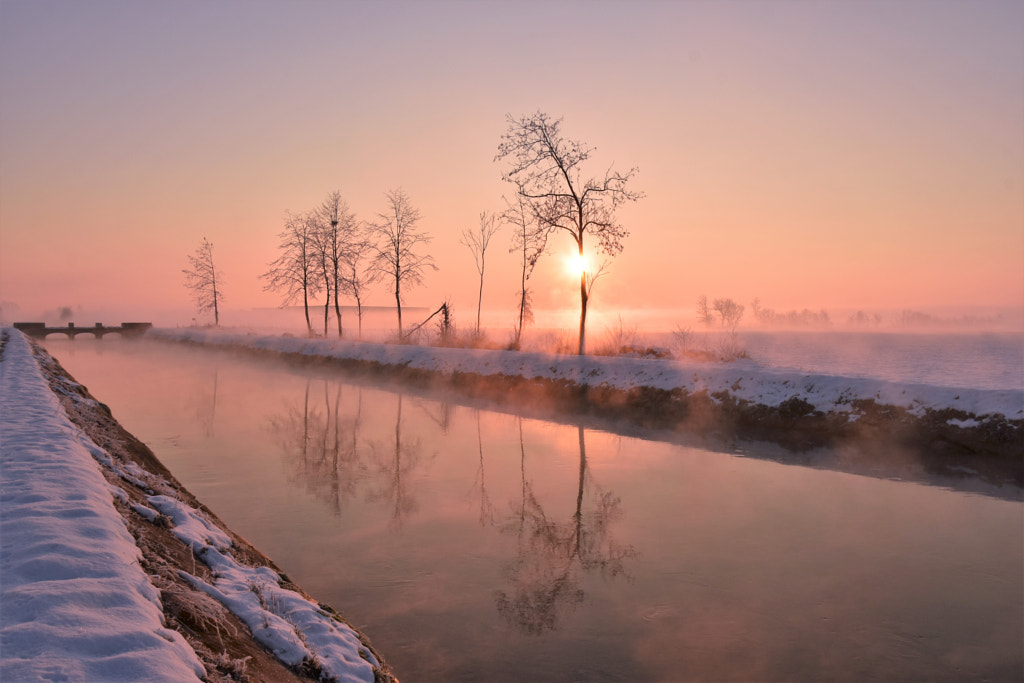winter by Carlotta Ricci / 500px