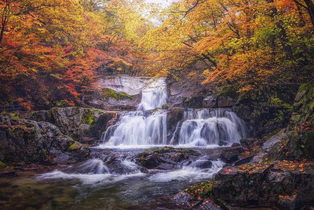 Waterfalls in deep valley by Tiger Seo / 500px