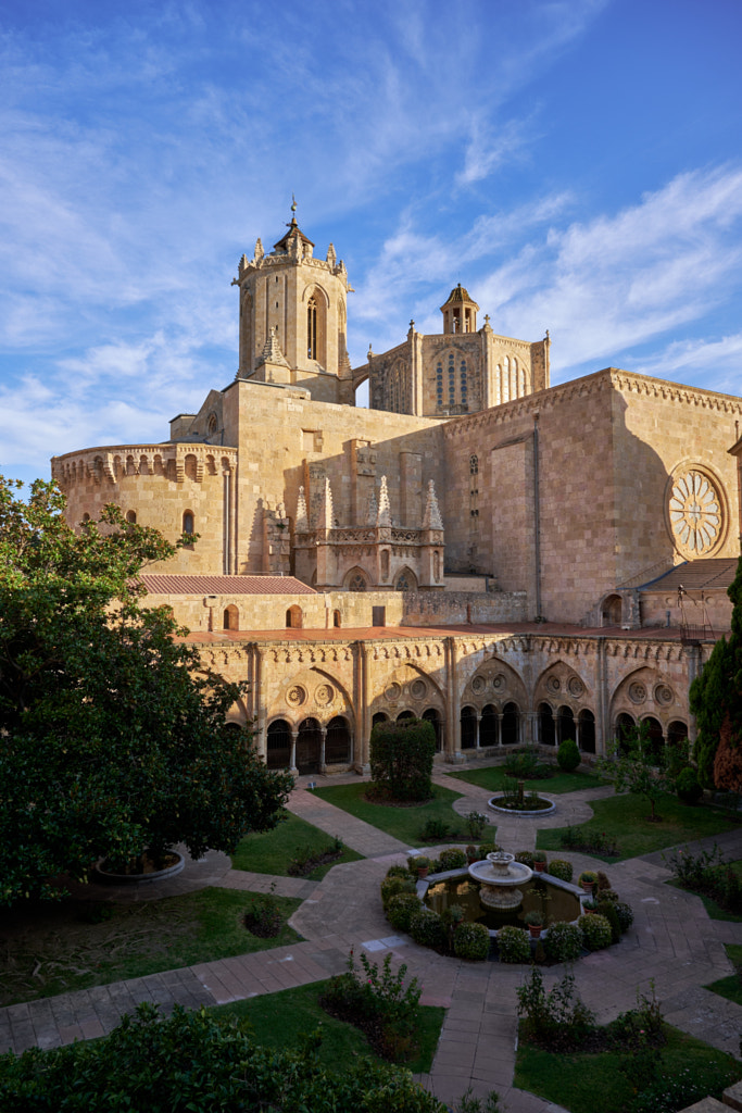 Gothic cathedral by Jacint Guiteras / 500px