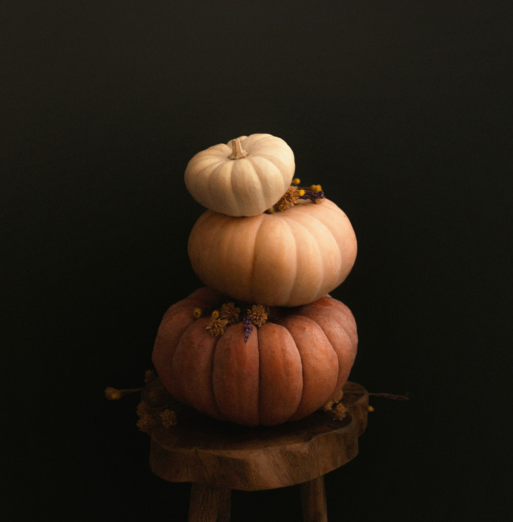 Pumpkins by Michelle Magnoli / 500px