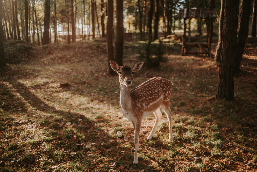 natural beauty by Taya Iv / 500px