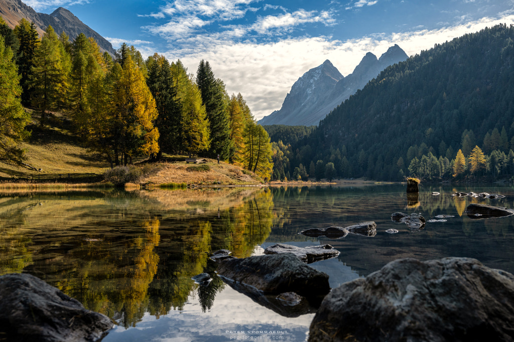 ...autumn colors... by pspct65 / 500px