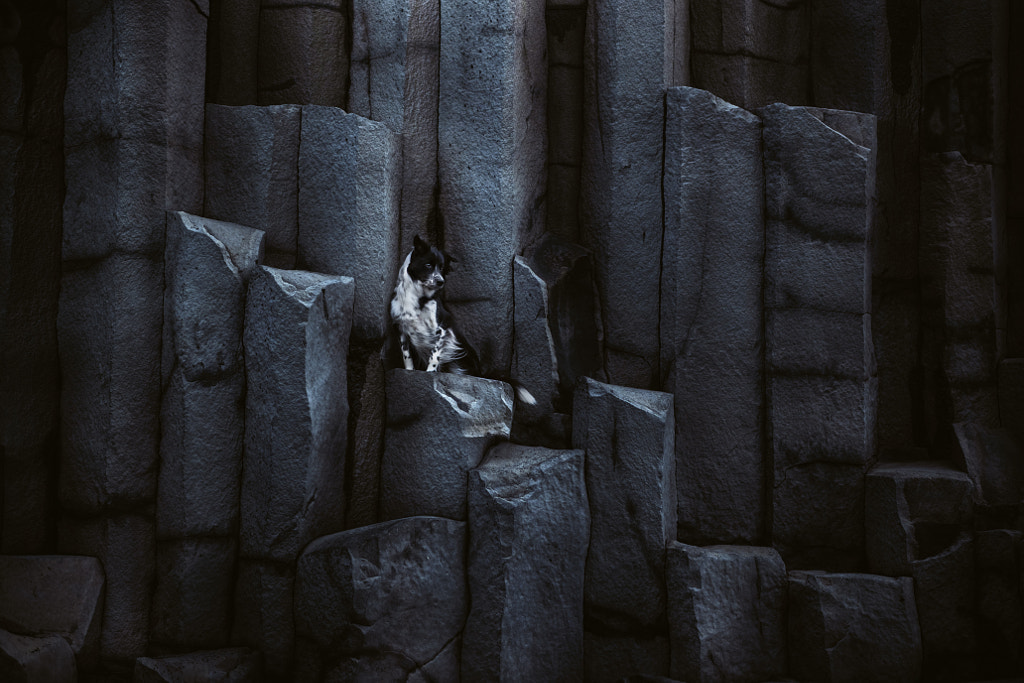 dark columns by Anne Geier / 500px