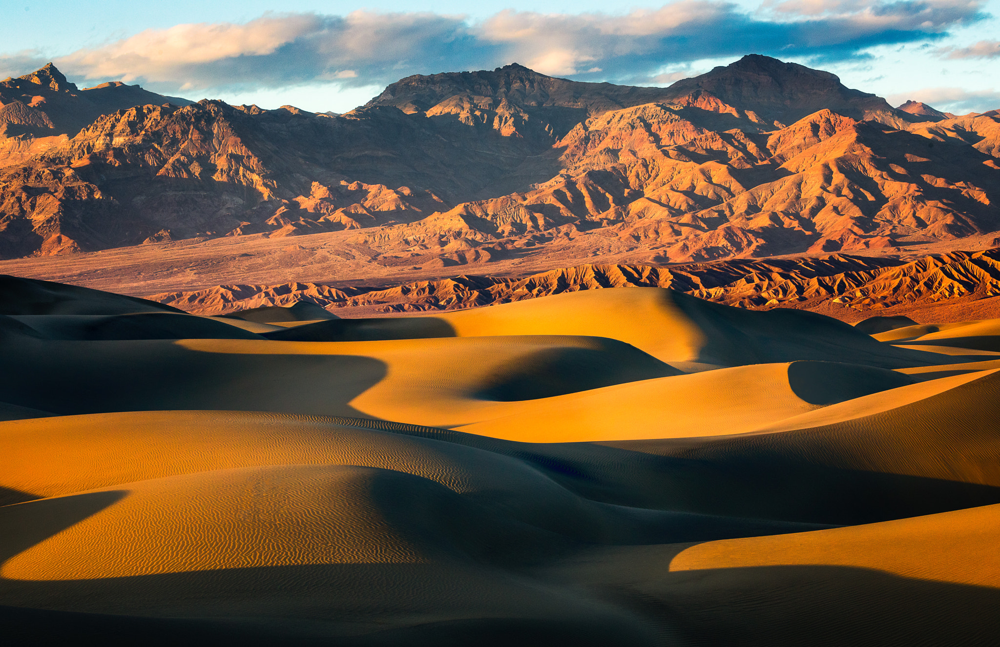 Wild curves II by Jean-François Chaubard / 500px