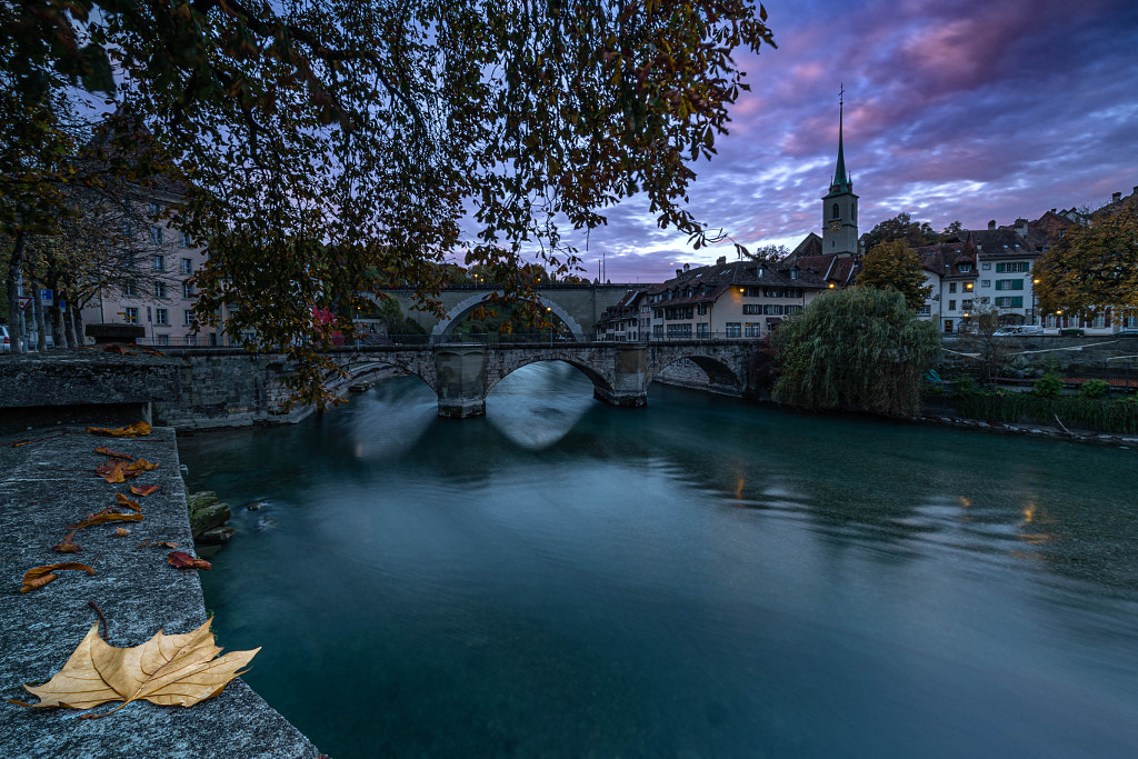 Colors of autumn... by Luca Dauccia / 500px