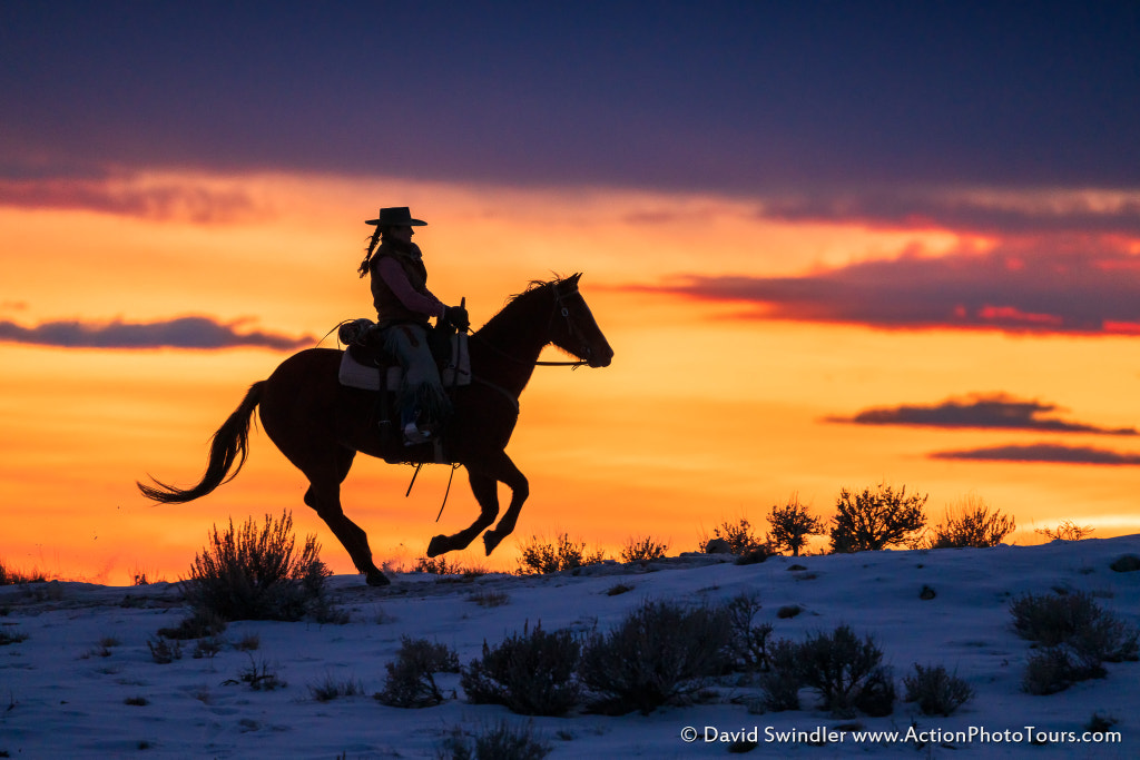 Riding Into the Sunset by David Swindler / 500px