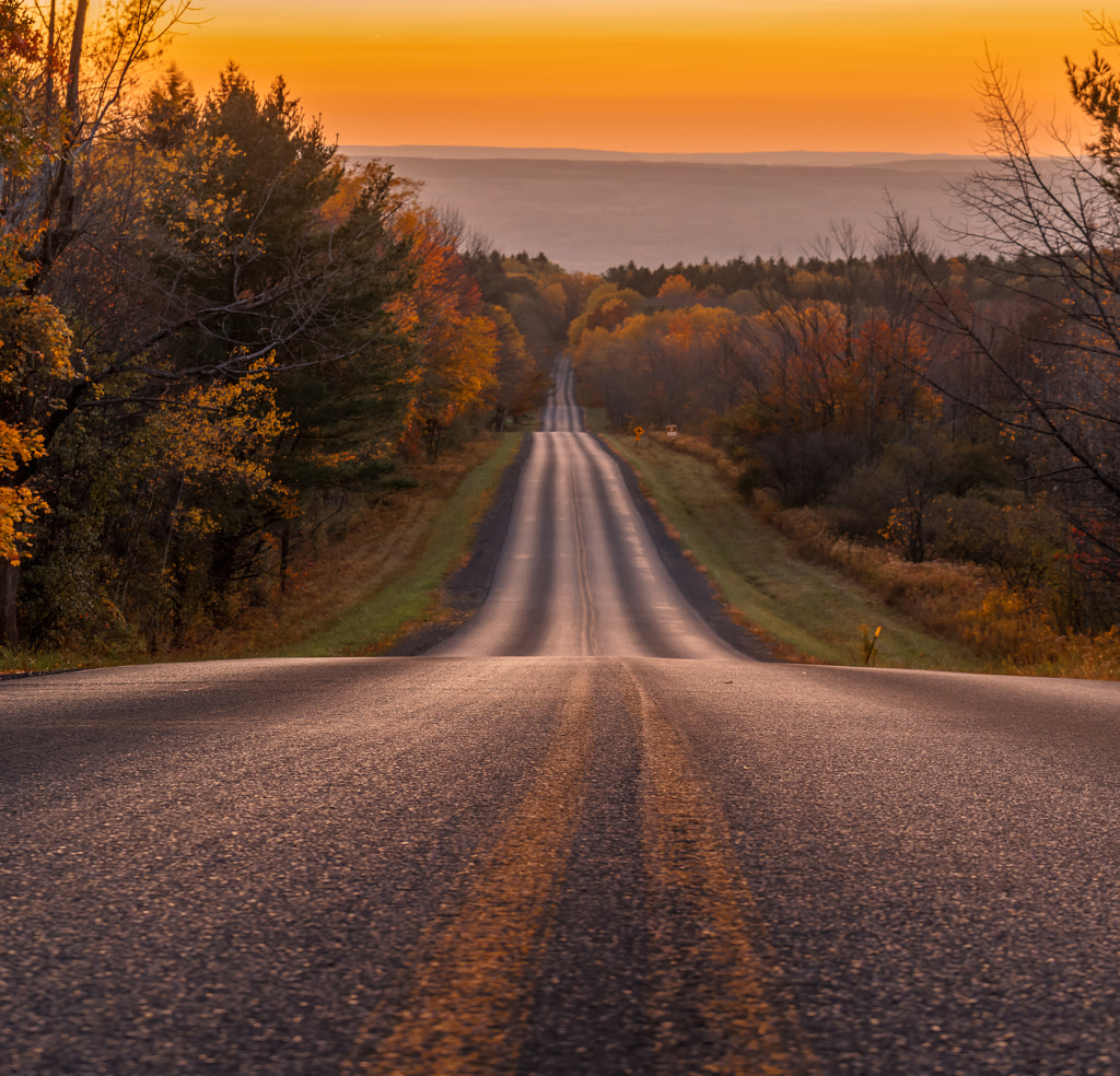 Lone Road by herbertrong1 / 500px