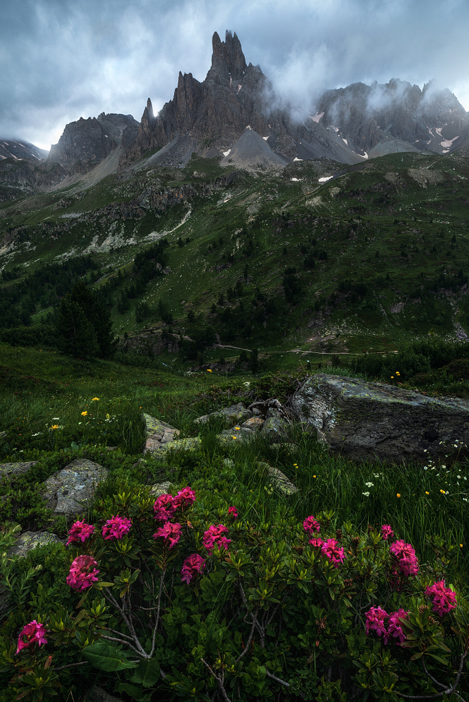 Dramatic Summer Evening in the French Alps by Daniel Gastager / 500px