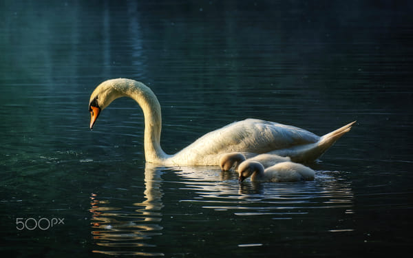 The Hill of the Great Sea... by Pawel Kucharski / 500px