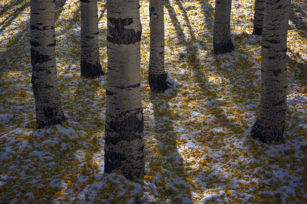 Eric Bennett (EricBennett) Profile / 500px