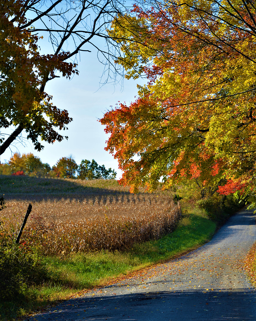 AUTUMN FARM by Chuck Evanish / 500px