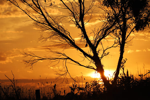 Bruce Prothero (brucexxp) Profile / 500px