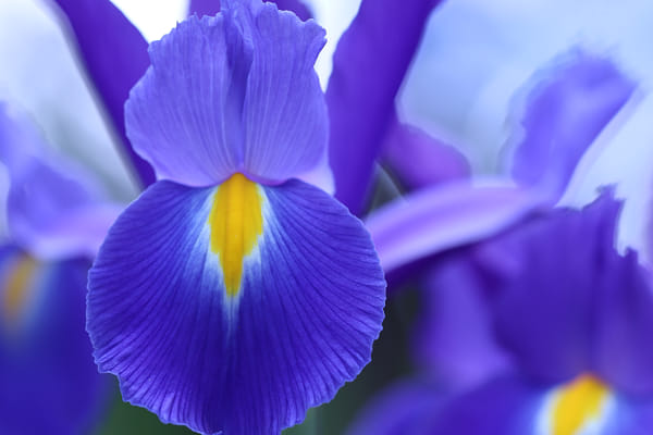 Phillip Pendleton (pendlephilpp) Profile / 500px