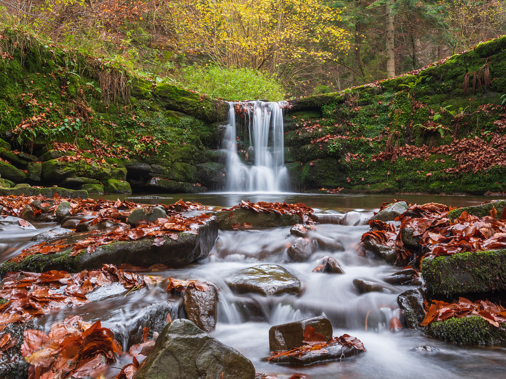The Wild Waterfall by Marek Wojnar / 500px