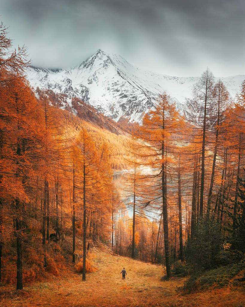 Get lost in the beauty of autumn. by Tomas Havel / 500px