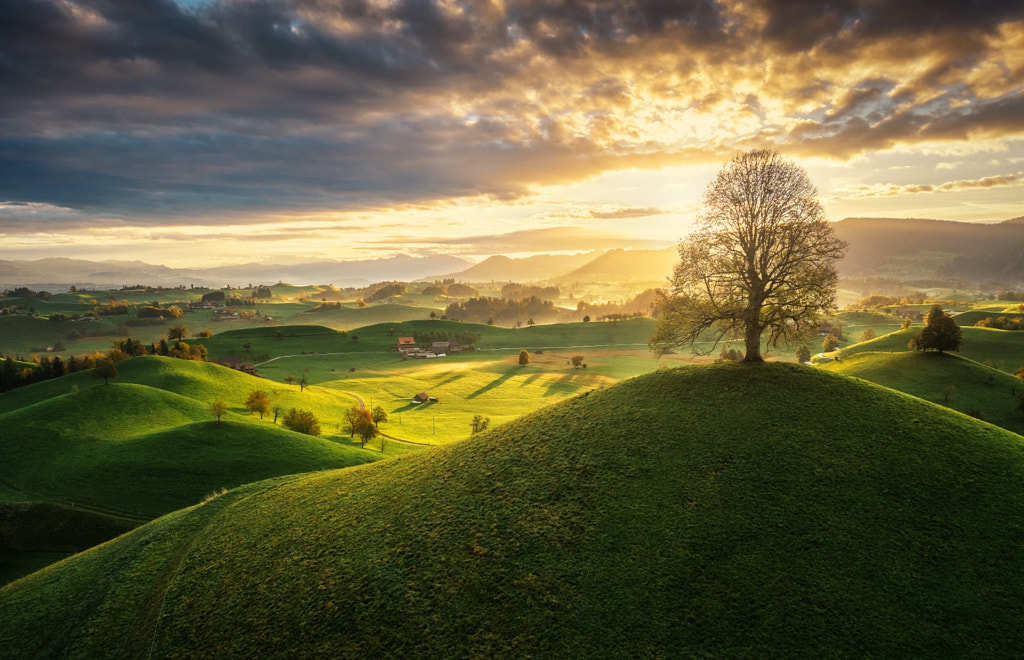 The green country by Antonio Valente / 500px