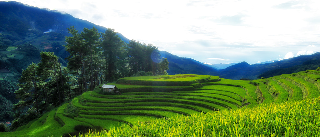 Scenic view of agricultural field against sky by Khoi Tran Duc / 500px