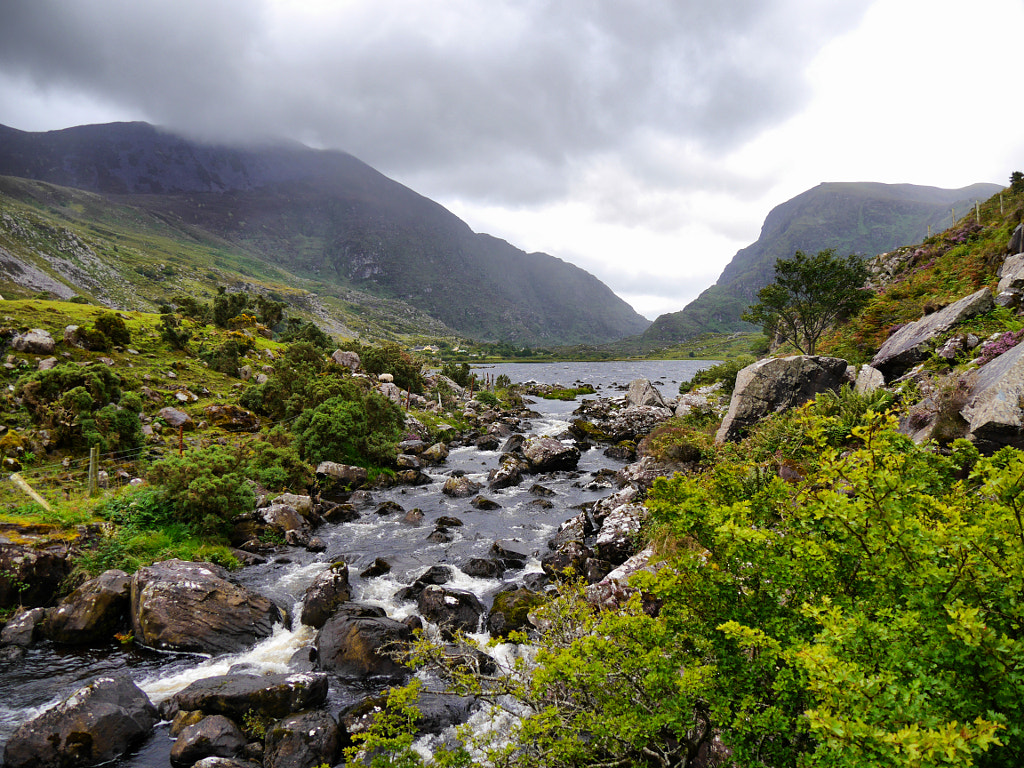 Irish countryside on an overcast day by Daniel Simmank / 500px